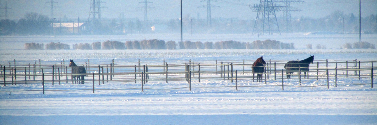 Startseite - Gemeinde Pliening - Landkreis Ebersberg