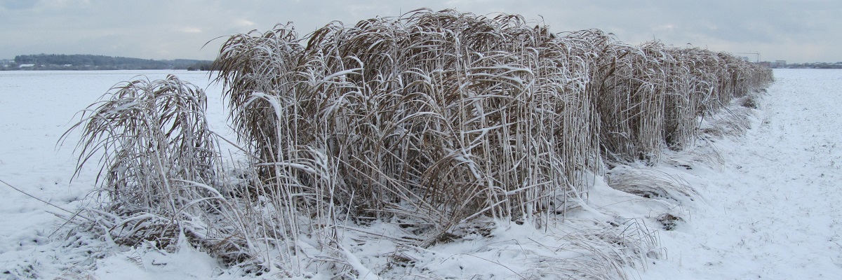 Startseite - Gemeinde Pliening - Landkreis Ebersberg